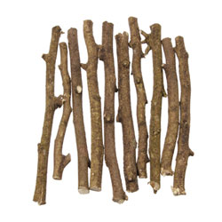 Thought For The Day 11/7/17