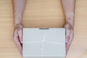 Hand Carry Service | Logistics Plus